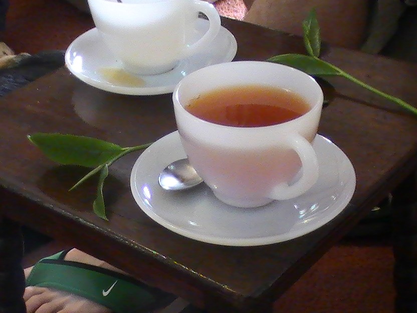 Starfish Charities: Tea Farm