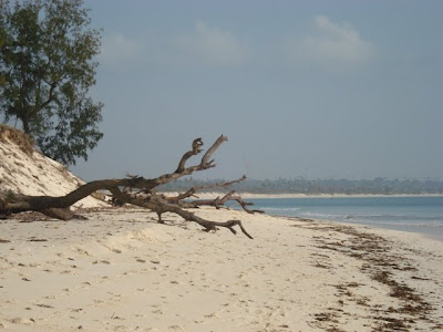 the view from the indian ocean: Chocas Mar: A Weekend at the Beach