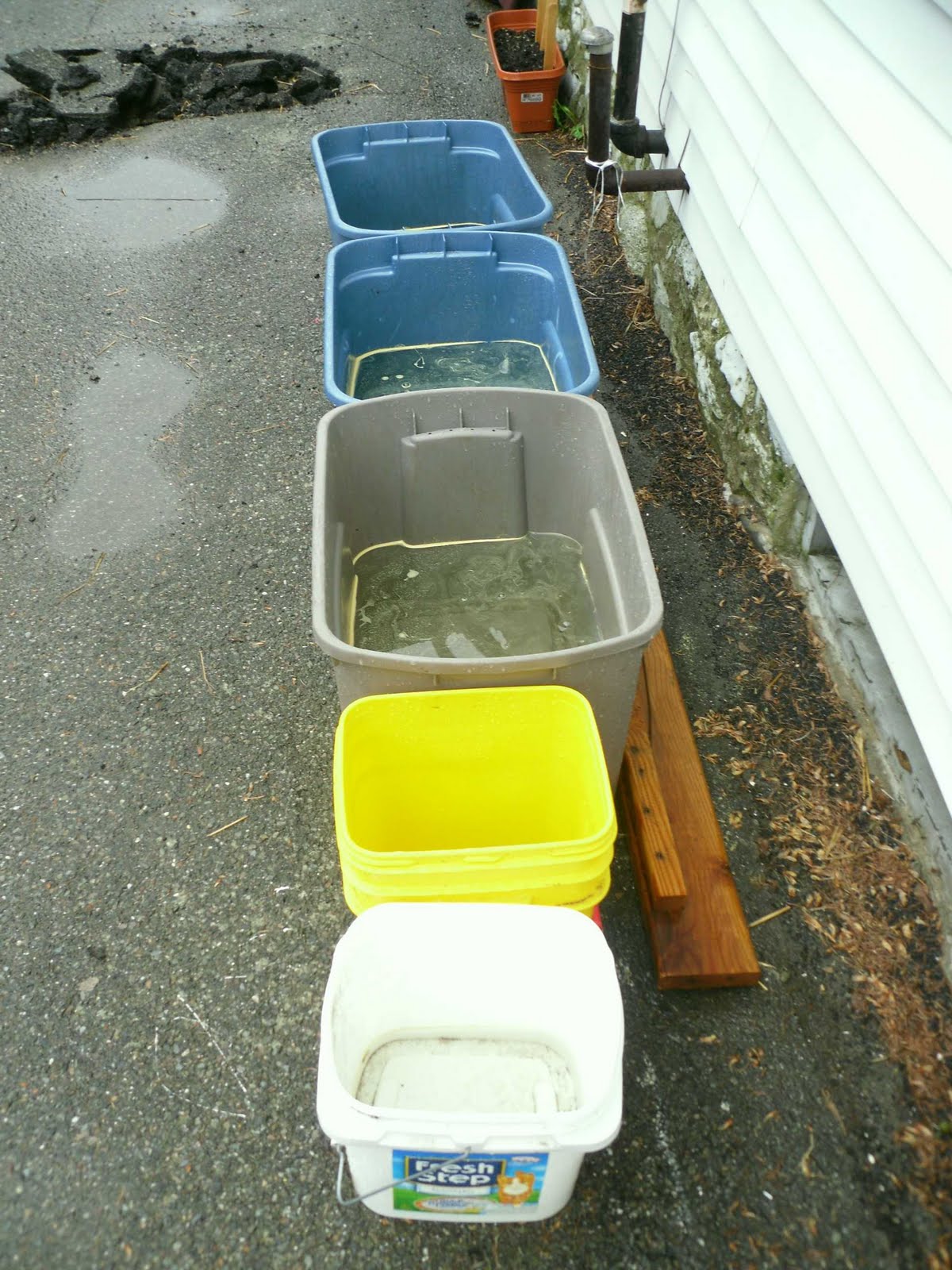 Chez-Roberge: Rain gathering