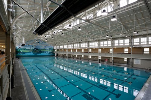 Pool Purrs: The Richmond Plunge: 2 Perspectives