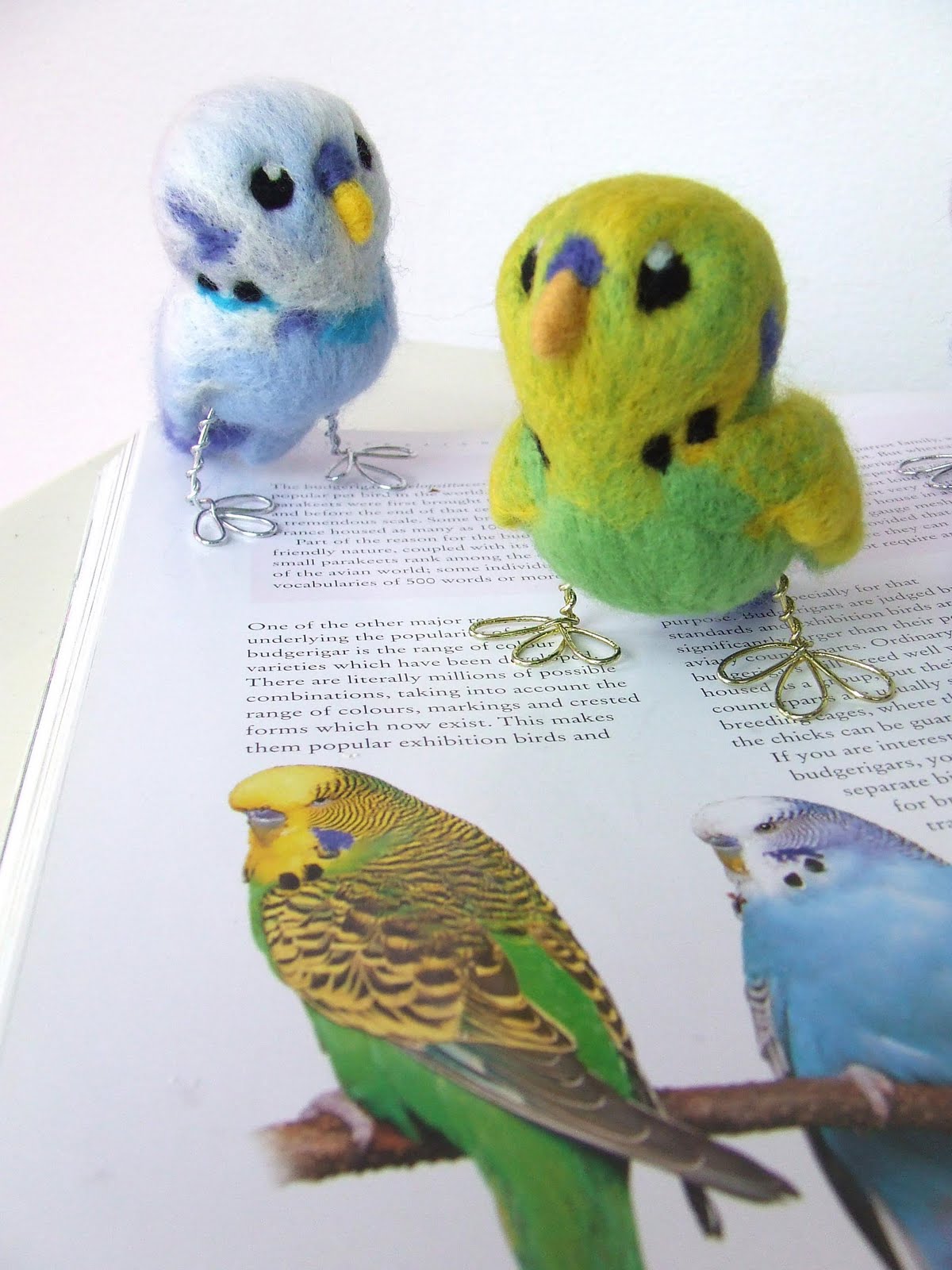 Feltmeup Designs: Budgie Fun