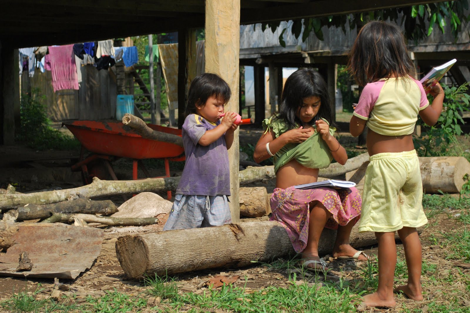 Alex & Lisa // South America: Amazon Jungle Adventure