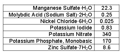 TISSUE CULTURE AND ORCHIDOLOGI: MACAM-MACAM MEDIA PRODUCT PHYTOTECH