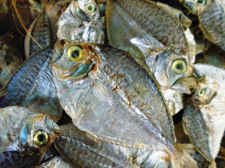 Elal Lasola Travel & Photography: Bulad