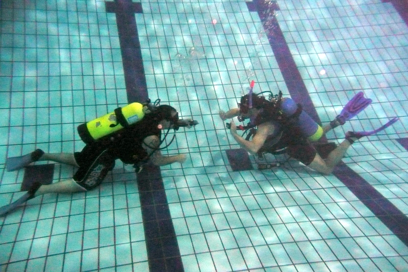 katierose: Handicap Scuba Association: The Leader in disABLED diving ...