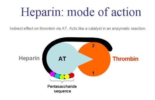 Cardiology Blog: Heparin - The Acute Anticoagulant