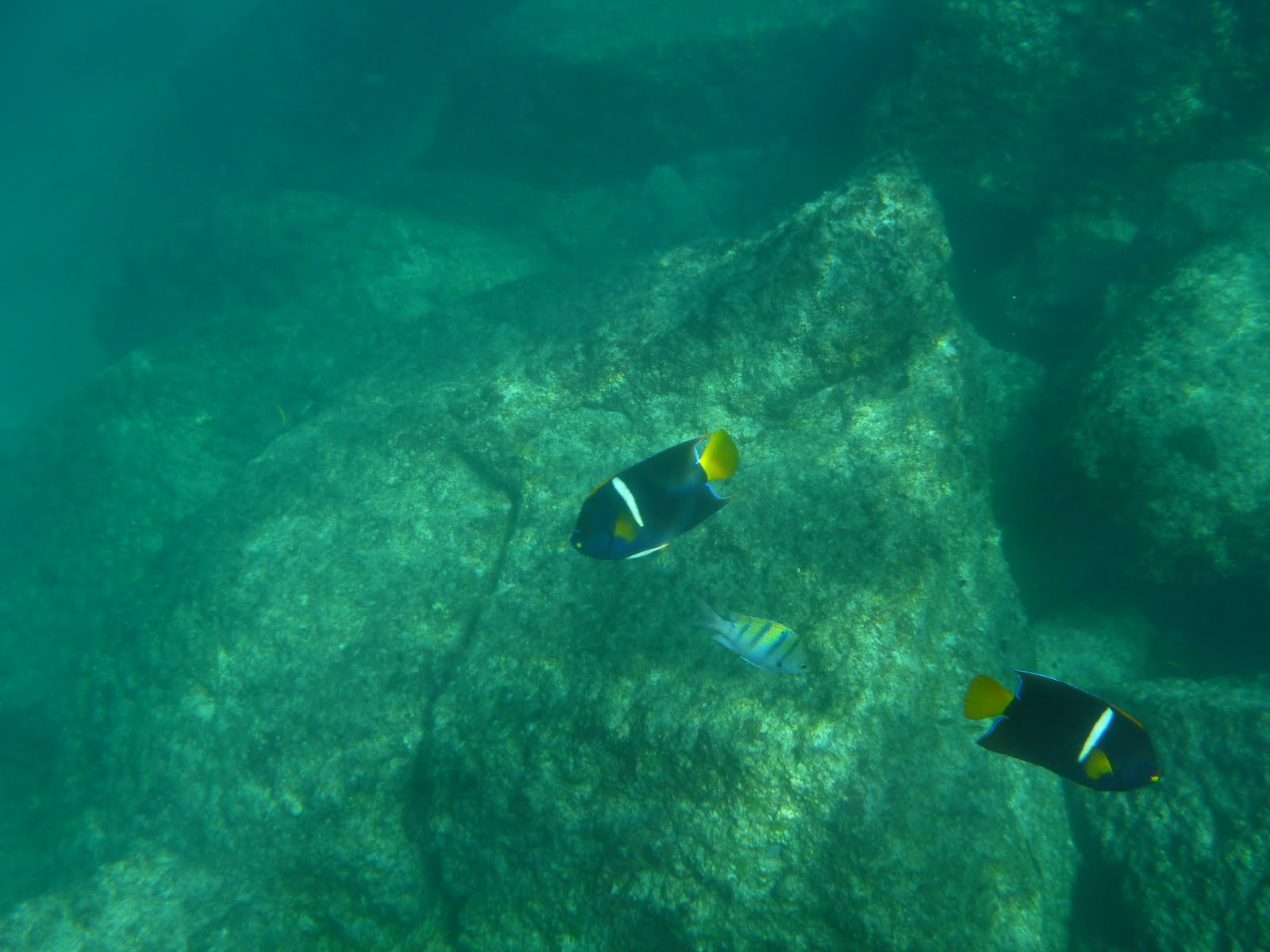 Mazu Adventures: Isla Espiritu Santo, Isla Partida, and Isla San Francisco