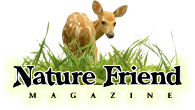Nature Friend Magazine Review - Marine Corps Nomads