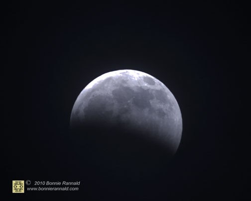 Bonnie Rannald's Photo-Explorations in focus with nature. : 2010 Winter ...