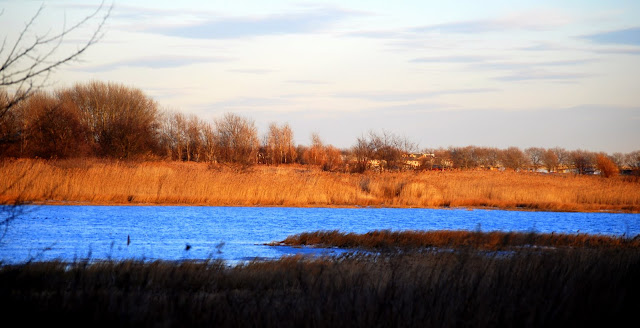Mille Fiori Favoriti: Gerritsen Beach, Brooklyn, New York