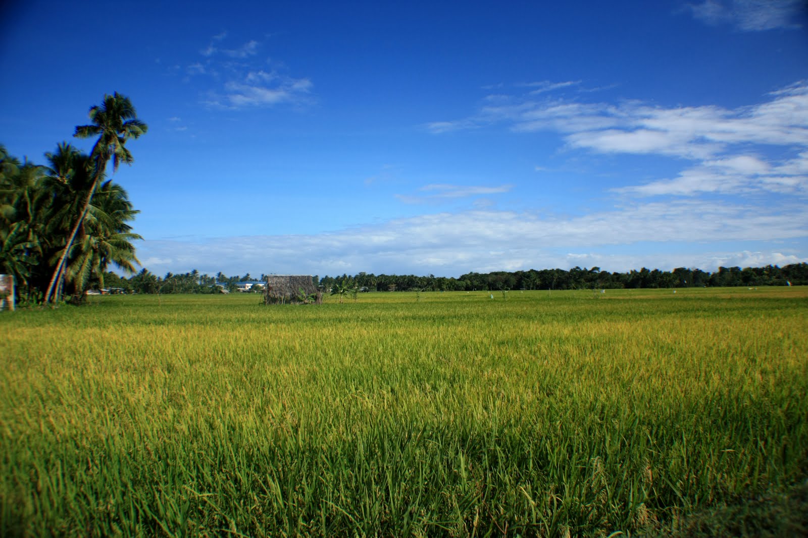 Rob's Photo blog: Cebu Random Landscapes