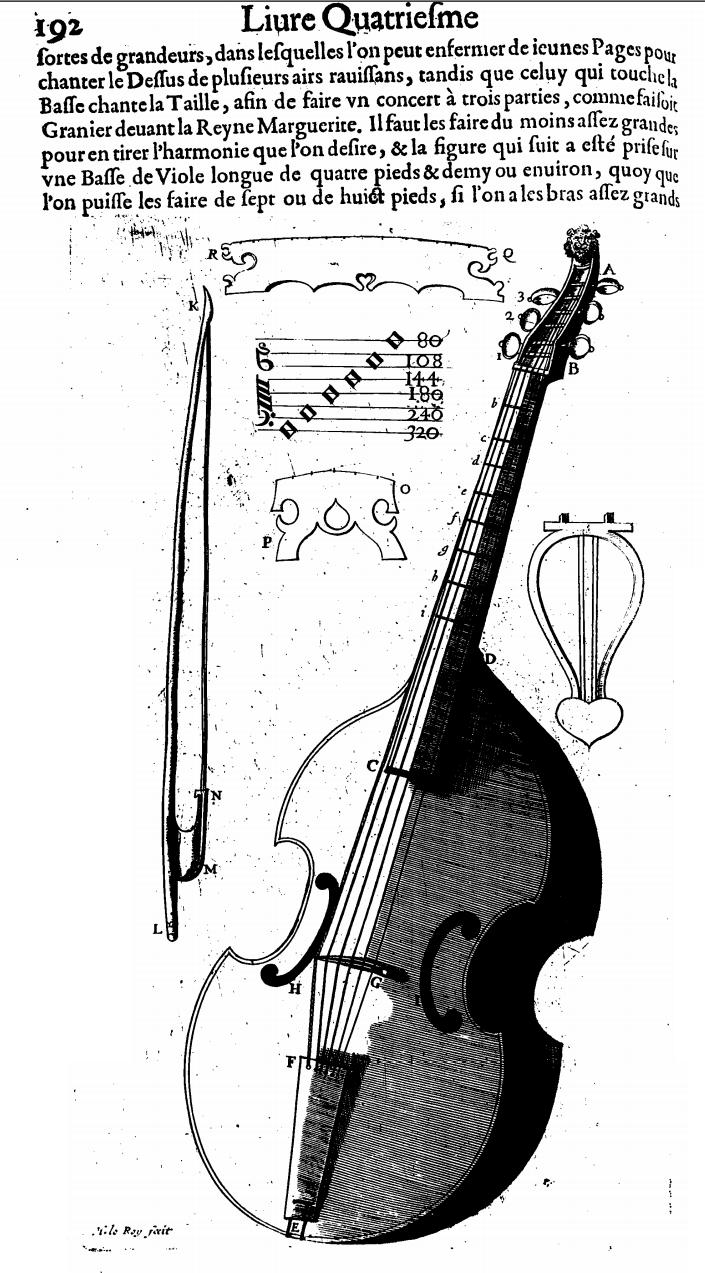 Lira da gamba - Lirone