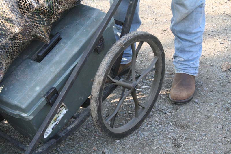 Beyond Dirt - My Creative Journey: Duck Carts.....