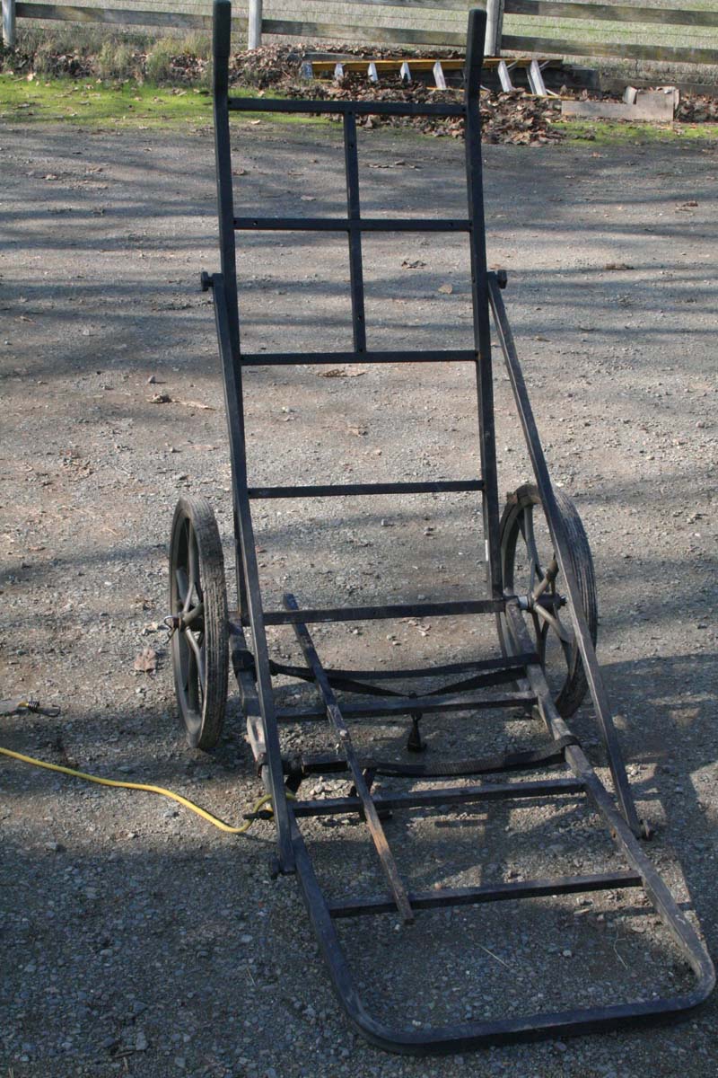 Beyond Dirt - My Creative Journey: Duck Carts.....