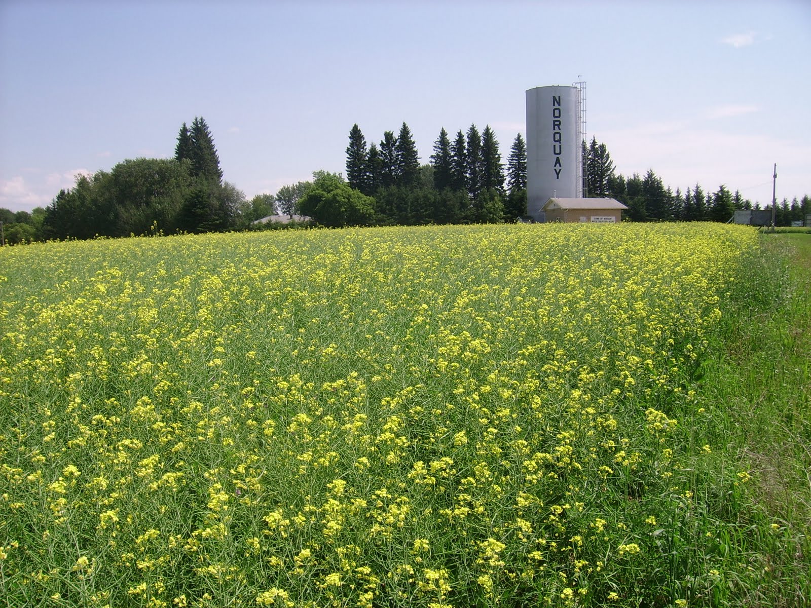 Kernels of Hope: August 2010