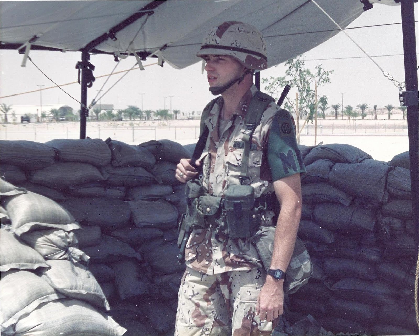 Where Are We Stan?: How To Paint US 'Chocolate Chip' DBDU