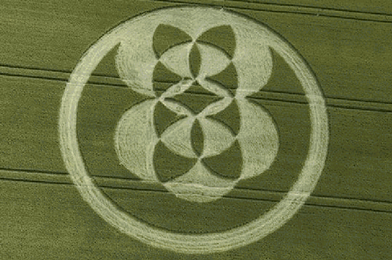 MAESTRO CARLOS GOMES: AGROGLIFOS - A ARTE NO CHÃO