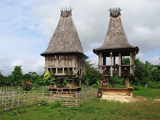 RAI - BUTI.UNIPESSOAL.Lda.: Rumah Adat Timor Leste