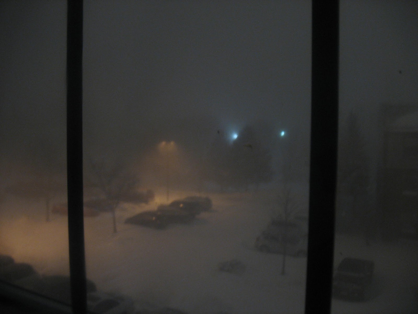 The Insatiable Italian: Chicago Snowpocalypse 2011