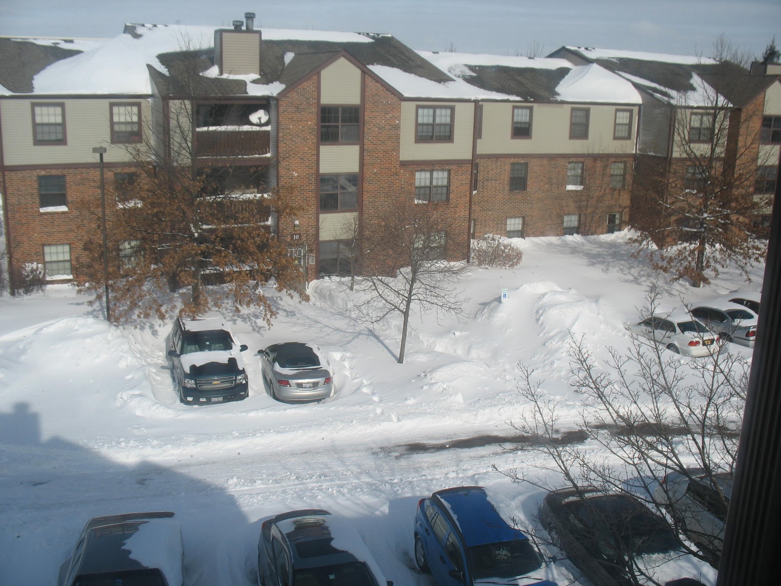 The Insatiable Italian: Chicago Snowpocalypse 2011