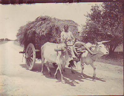 India Various - 1910 - Old Indian Photos