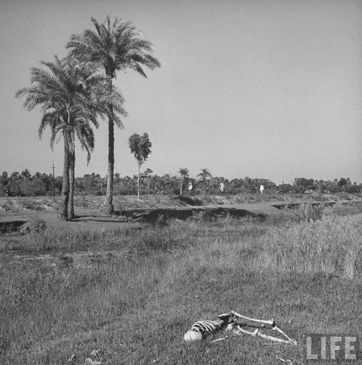 Bengal famine of 1943 - A Photographic History - Part 1 - Old Indian Photos