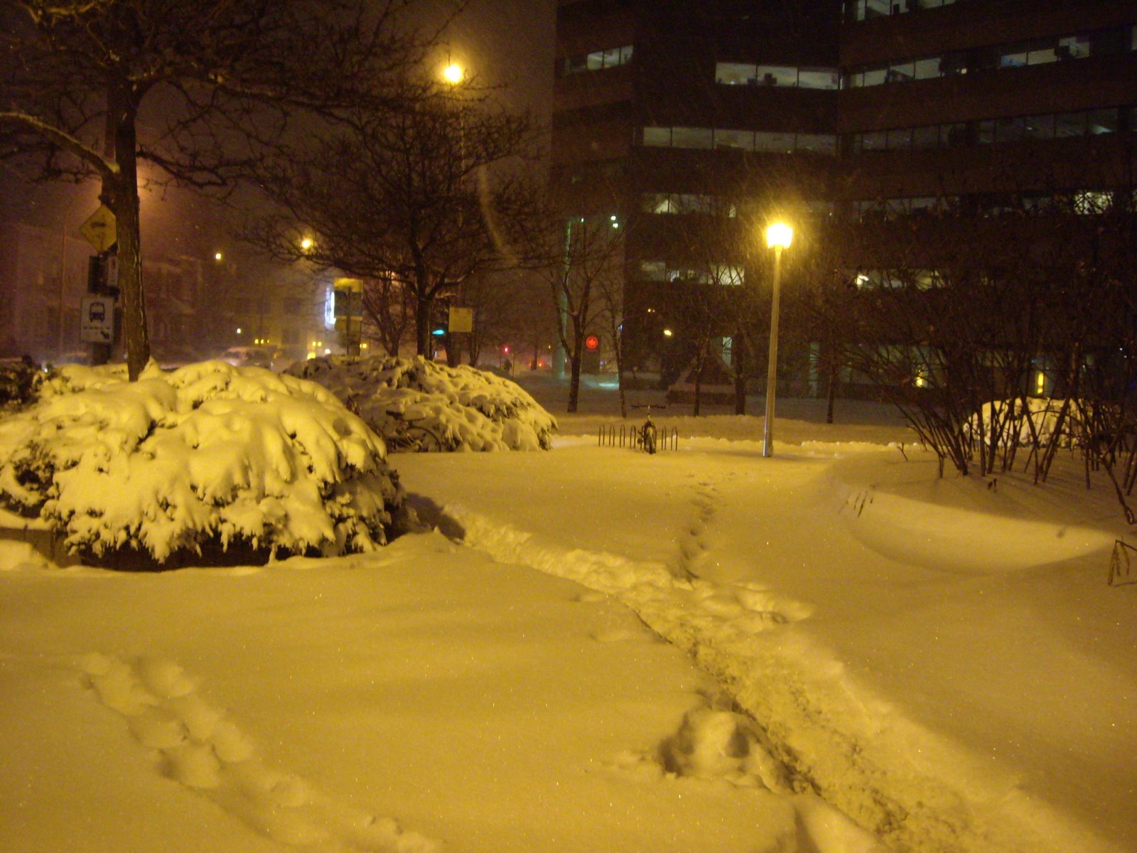 Floriane en France...et souvenir de Montréal: Tempête de Neige à ...