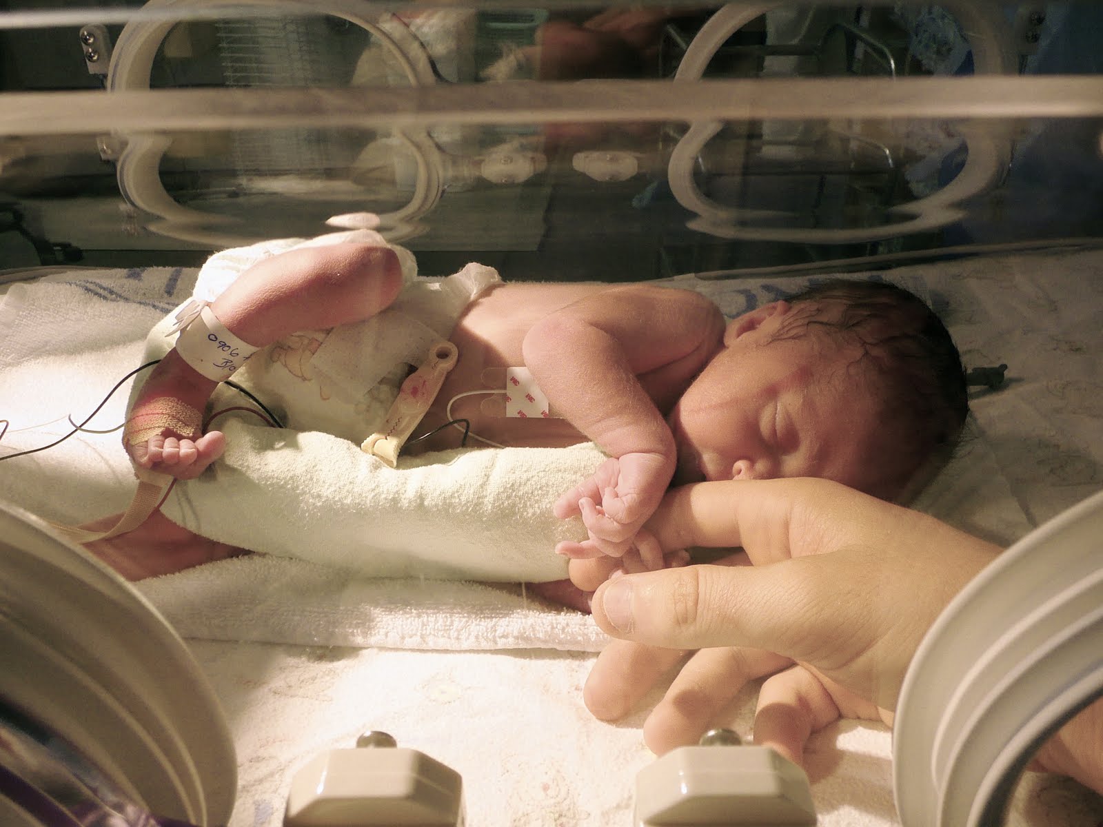 Search Results For Fetus At 24 Weeks Pictures Calendar 2015