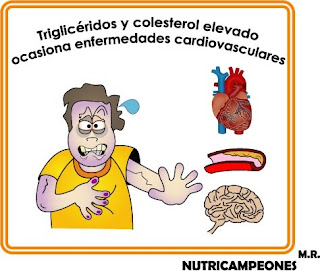 NUTRICAMPEONES: agosto 2010