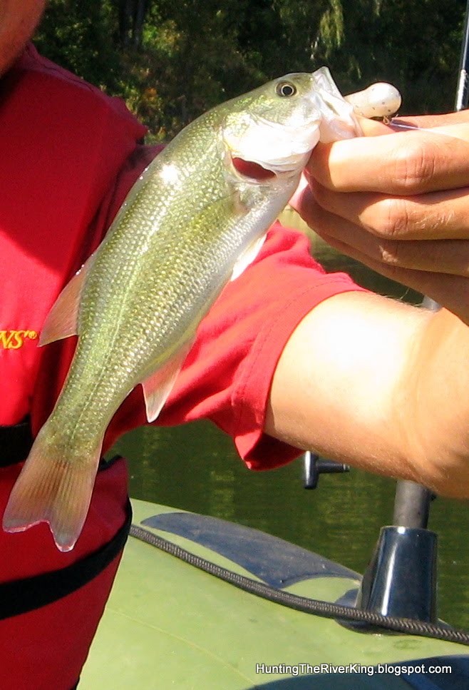 Camas Bass Fishing - Hunting the River King