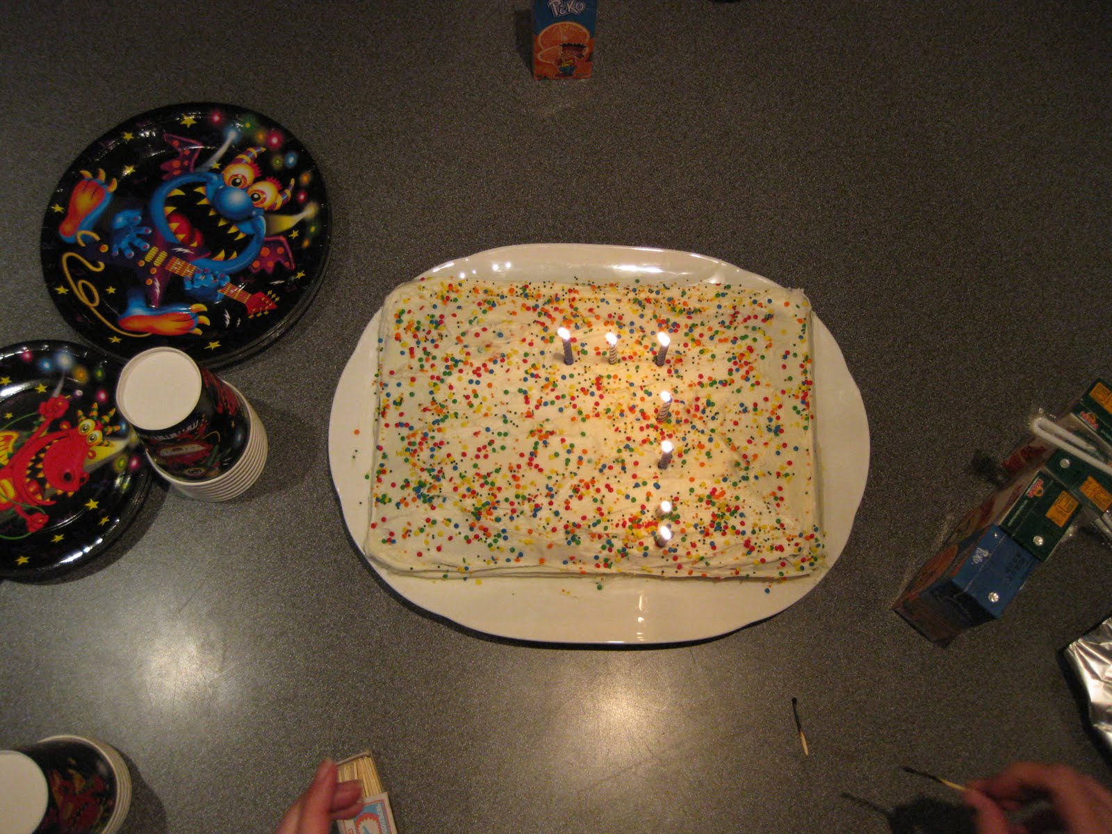 The Offner Adventures: Cameron's 7th Birthday