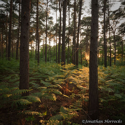 V.Watts Photography: Landscape Photographer - Jonathan Horrocks