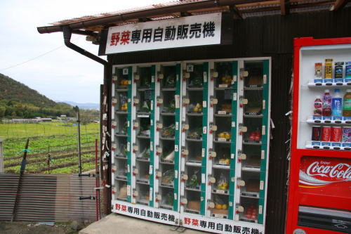 The Official Ninja News NINJA CHIKUWA: Japanese Vending machine ...