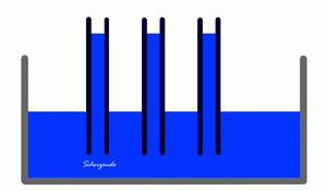 Página de curiosidades y más: ¿Qué es la capilaridad?