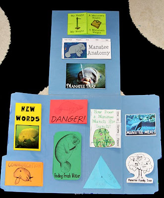 Manatee Lapbook - 1+1+1=1