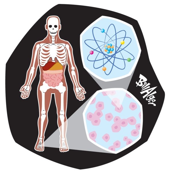 Bill Alger's Sketchbook & Stuff!: "Human Body & Cells & Atoms"