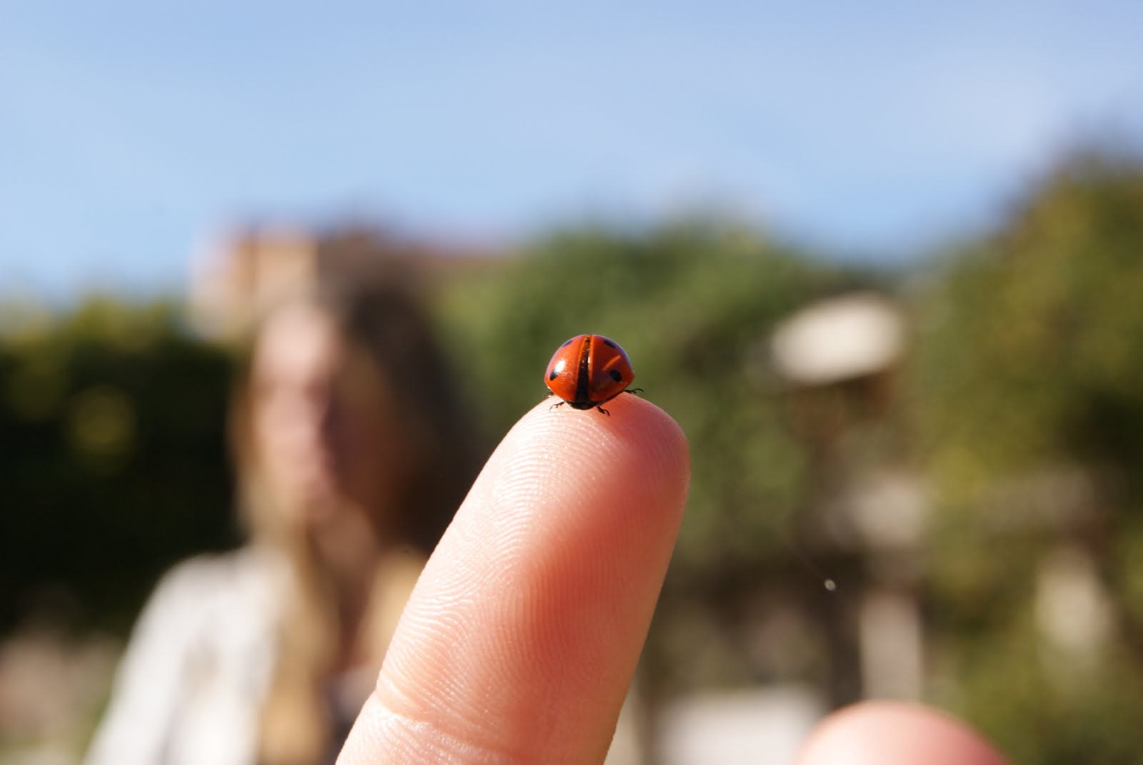 Maria: Enfoque Selectivo