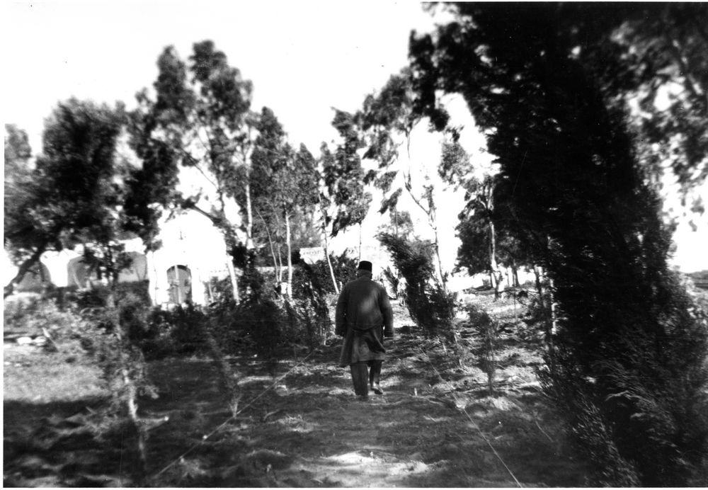 Blessed Footsteps -- Shoghi Effendi's laying out of the Baha'i Gardens
