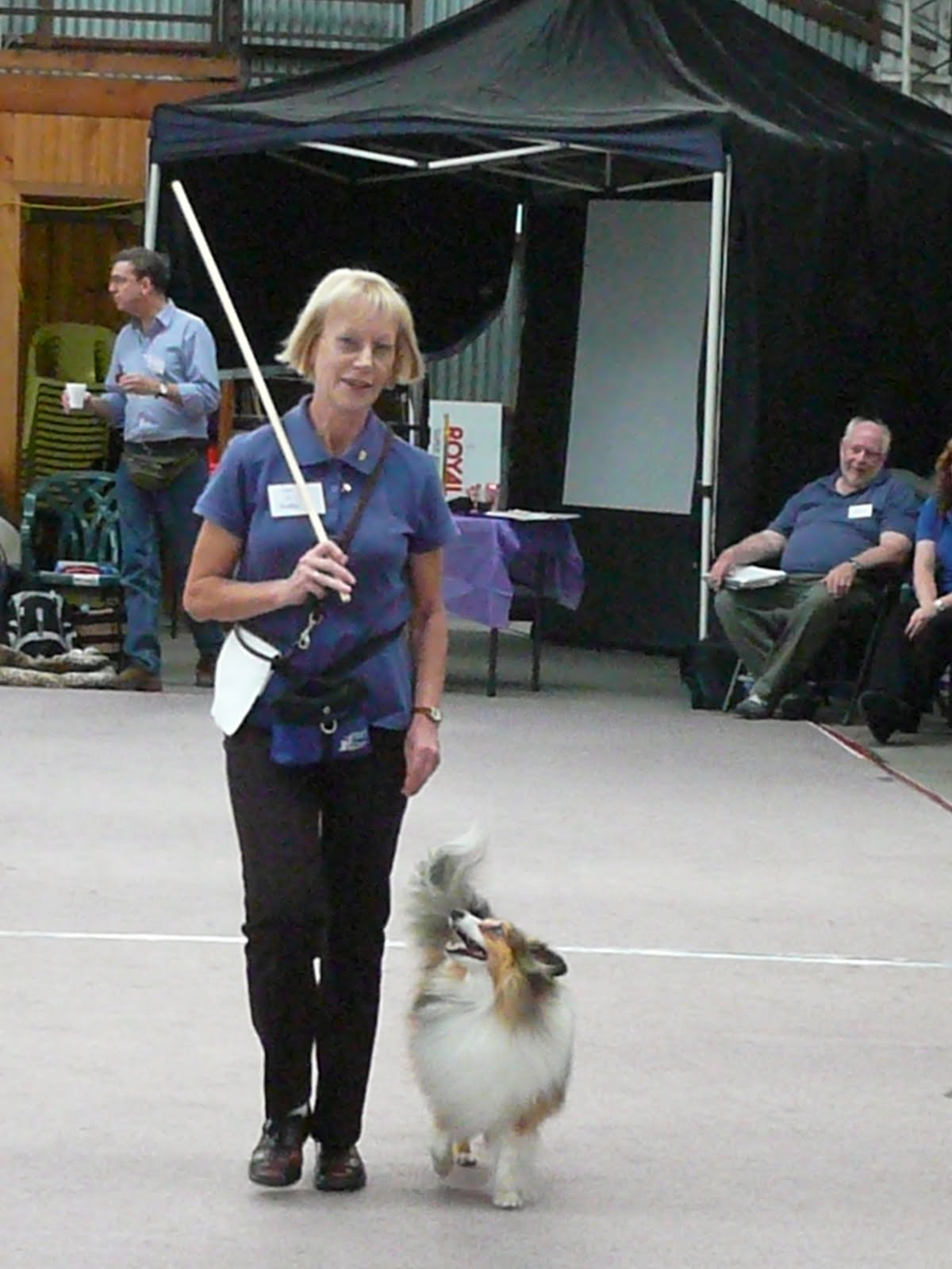 K9 freestyle dancing dogs: 2010
