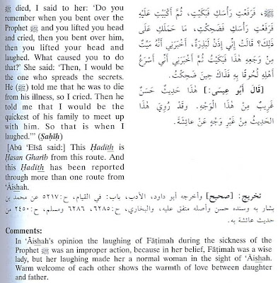 Hadith, History, and Information