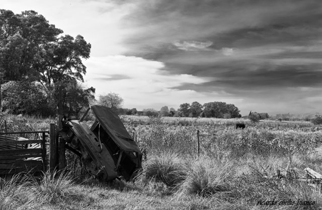 ricardo emilio bianco: paisaje desolado
