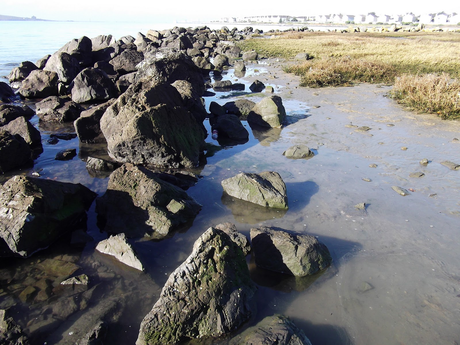 Justice for Scott Peterson: A formidable barrier