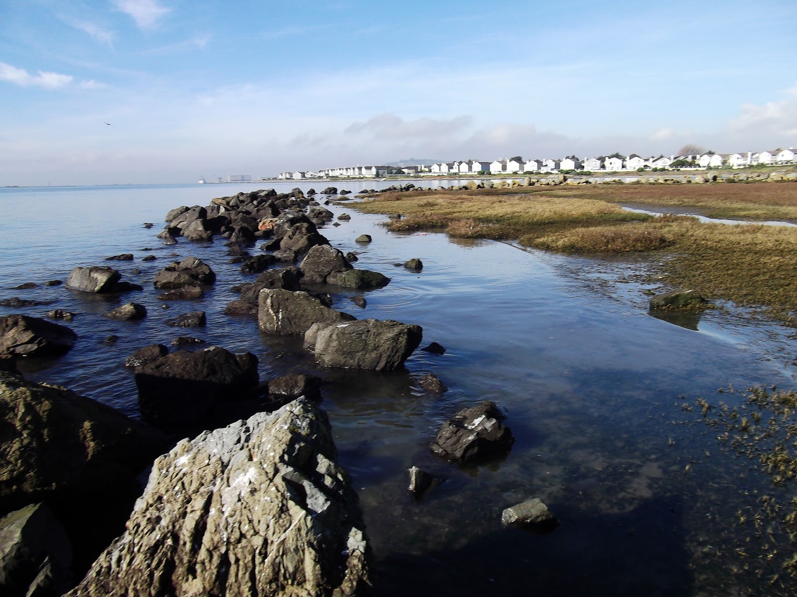 Justice for Scott Peterson: A formidable barrier