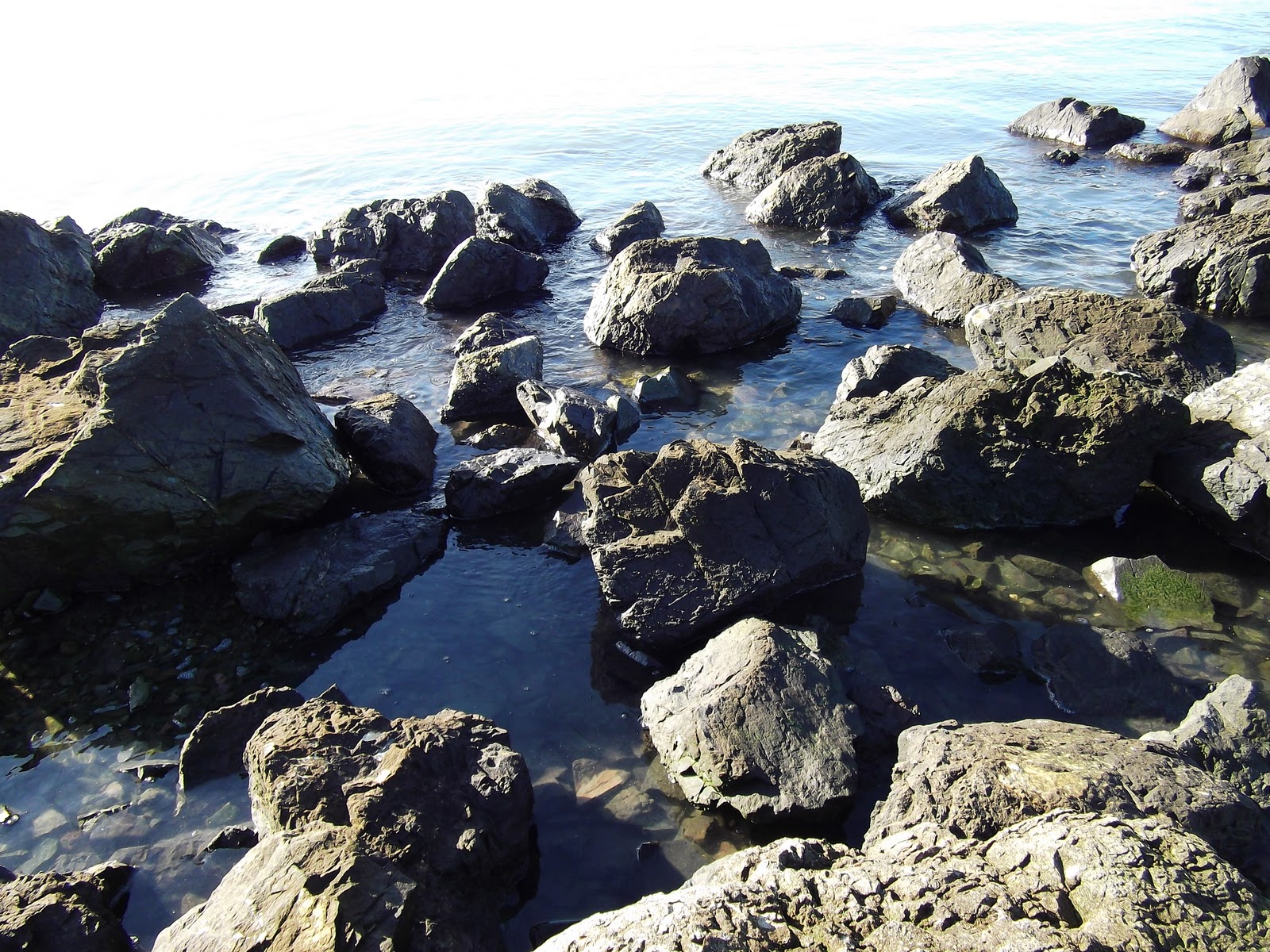 Justice for Scott Peterson: A formidable barrier