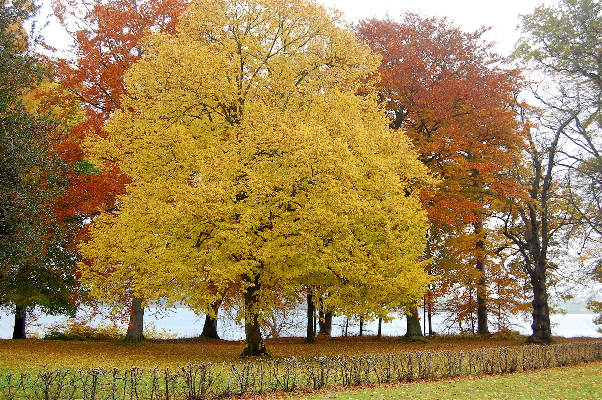 Bilbo from California: A visual diary: Sandbjerg Estate, Sønderborg ...