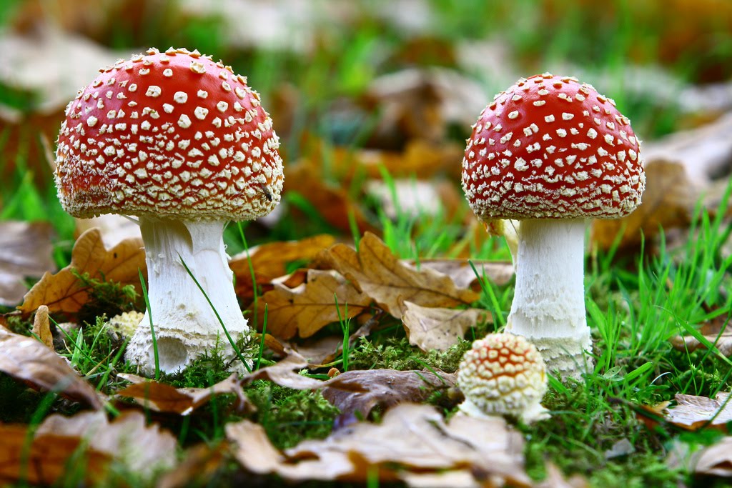 white bread & high heels