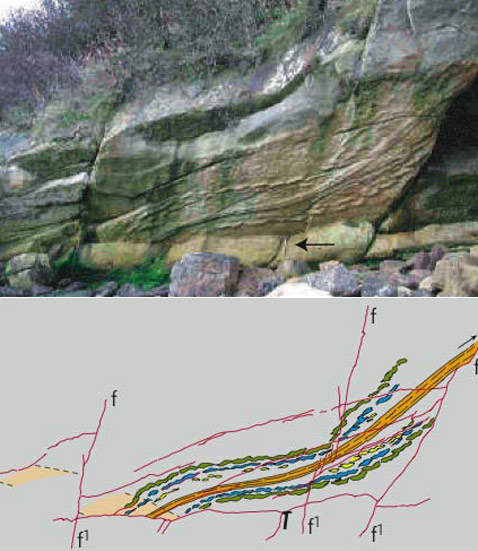 CENEMAR: Hibbertopterus