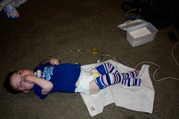 Jaxsons Fight: August 2010