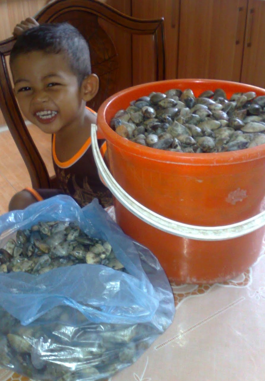 Sekadar suka-suka: Cari Siput Kepah