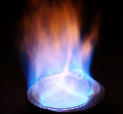 Ethanol Project